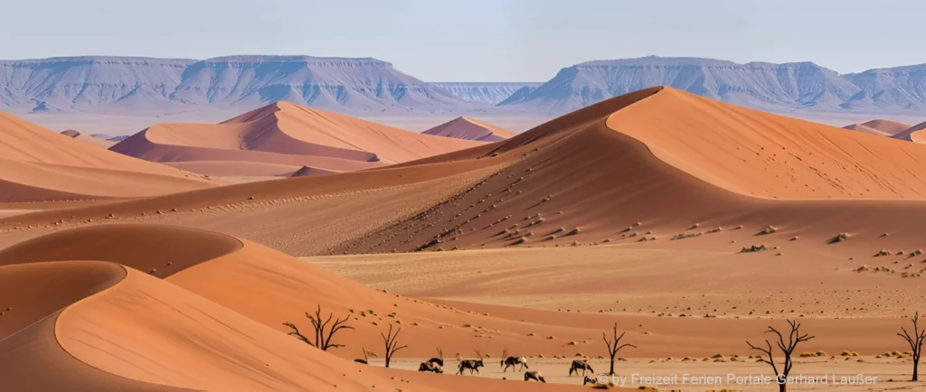 Namibia Rundreise 2 Wochen Selbstfahrer Erlebnisse und Abenteuer